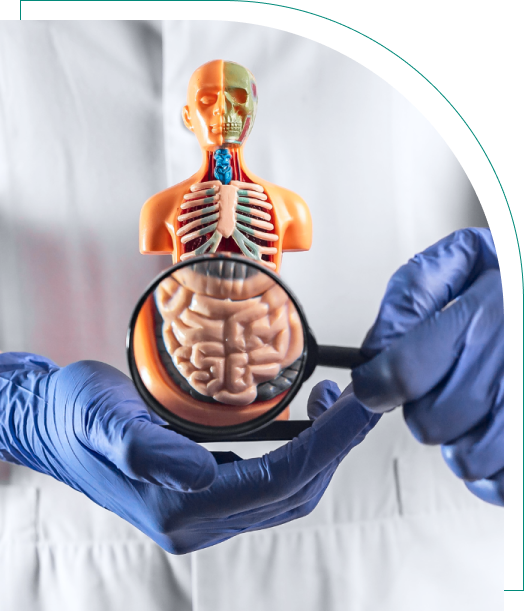 Clinica Nigre – Medicina e Saúde